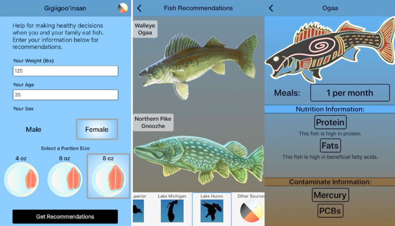 Study: App for Anishinaabe to track fish consumption works | News ...